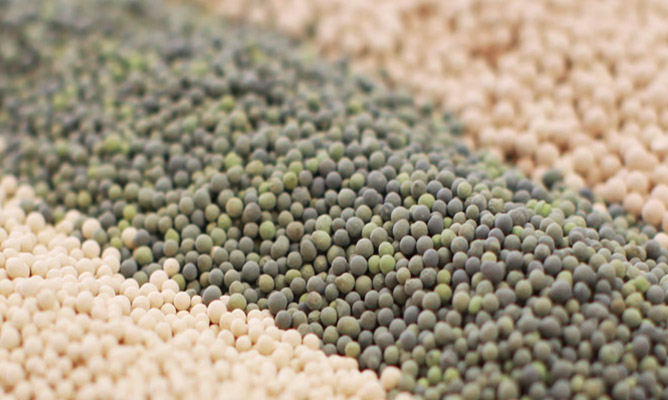 Adsorbent and Catalyst for PSA Gas Separation Technology | PKU PIONEER